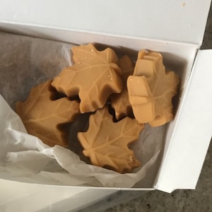 Vermontmaple's Bumps and Bruises Maple Candy 2 Lbs FREE SHIPPING - Etsy
