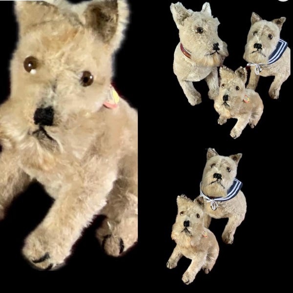 Amazingly Beautiful Antique Steiff Like Cinnamon Teddy Bear - Forget Me ...