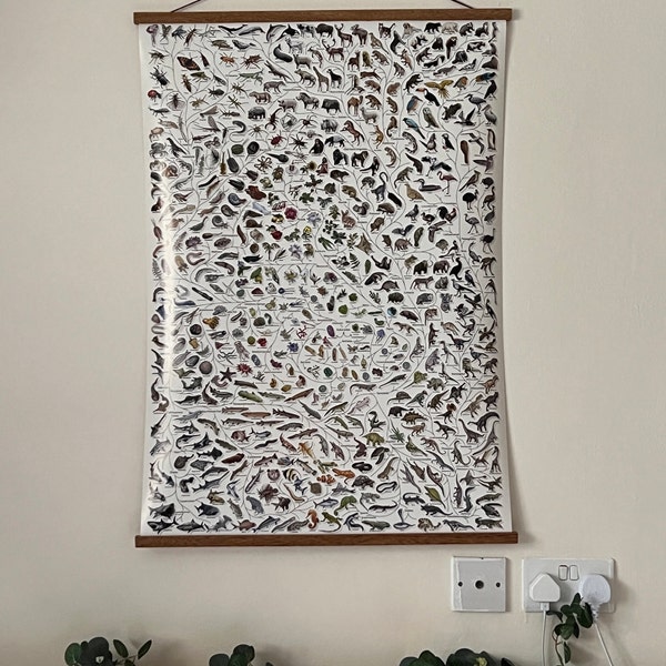 Evolutionary Biology Tree of Life Poster: Educational Nature Art - Etsy