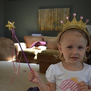 Birthday crown, Pinkalicious Crown, Princess crown, Halloween costume ...