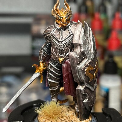 Vhok Ironfist, Hero for DND or Pathfinder 8K Resin Based Miniature the ...