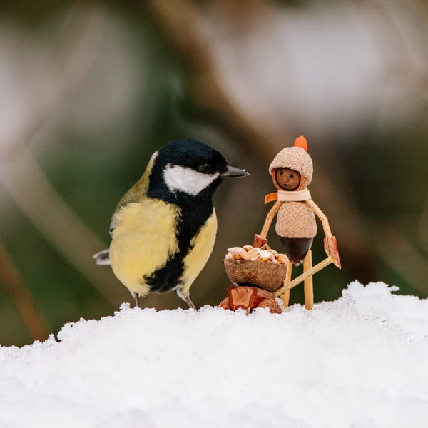 Medieval Scholar Acorn Elf - Nature-inspired Figurine - Etsy