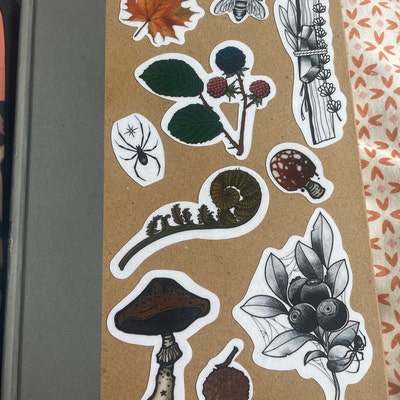 Consult the Oracle Sticker Pack Journal, Notebook, Laptop Stickers ...