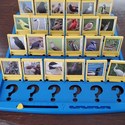 North American Birds Who Printable Template Gather Round Homeschool ...