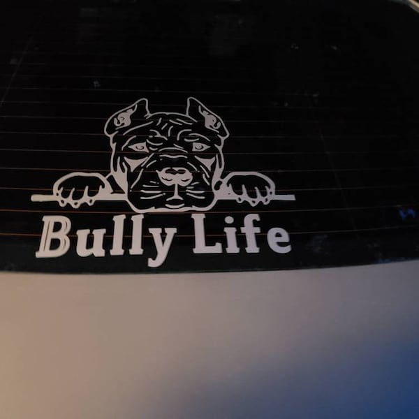 Bully Life Decal, Bully Lover, Bully Accessories, Bully Gifts, Bully ...