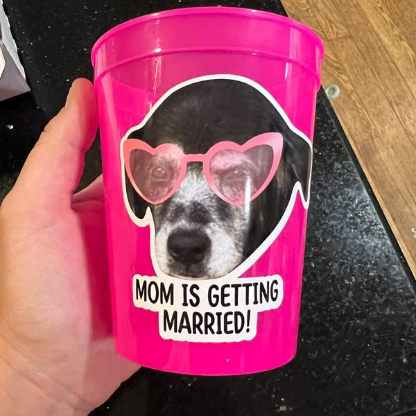 Bridal Wedding Veil Last Rodeo Bachelorette Bridal Shower Gift ...