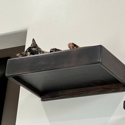 Floating Cat Stairs Floating Cat Bed Cat Perch Cat Furniture - Etsy