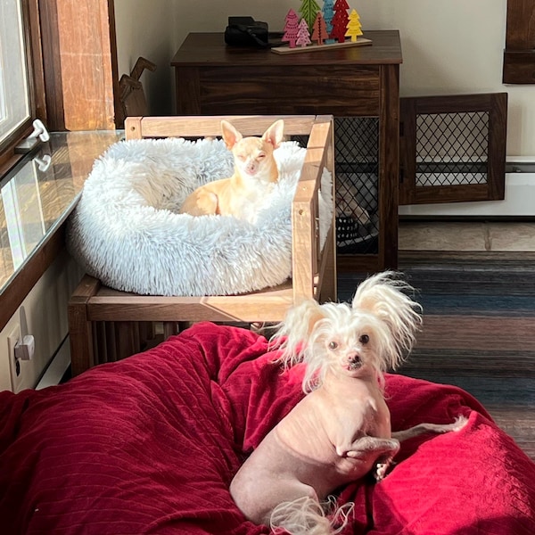 Gifts for Pets -elevated Dog Bed Furniture, Raised Dog Bed, Dog Ramp ...