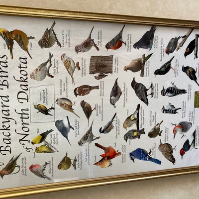 Birds of Michigan Backyard Birding Identification Picture Print/ Great ...