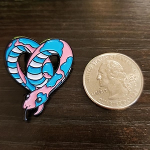 Transgender Pride Noodle Cute Enamel Pin in Trans LGBT Pride Flag ...