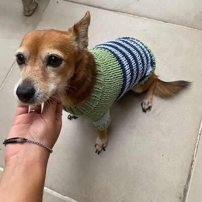 Dog Harness / Dog Collar / Cat Harness / Knitted Harness / Choke Free ...