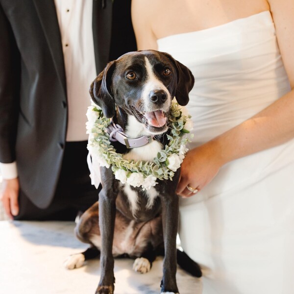 Dog Wedding Flower Collar, Faux Greenery and Silk Flowers Wedding ...