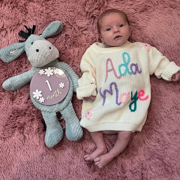 Acrylic Baby Milestone Marker, Baby Milestone Discs, Interchangeable ...