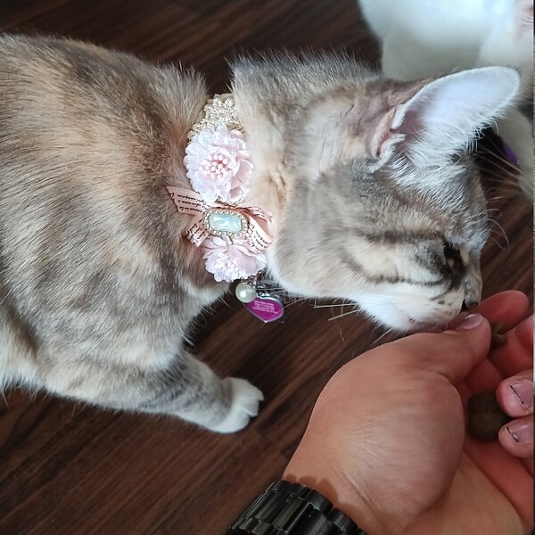 Pink Flower Princess Cat Collar,small Dog Wedding Lace Collar.wedding ...