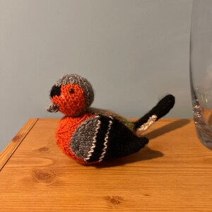 Cockatiel Knitting Pattern Cute Bird Knitting Pattern | Etsy