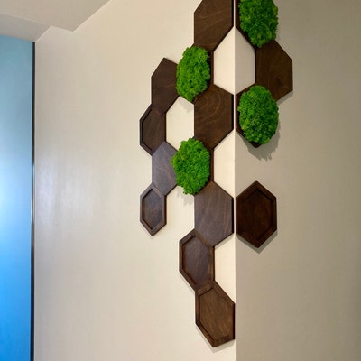 Geometric Wall Panel, 12 Hexagons Set, Tile Size 4.3 X 5, Dark Wood ...