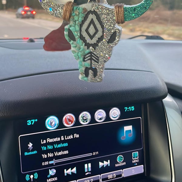 Bass Fish Custom Car Air Freshie - Etsy