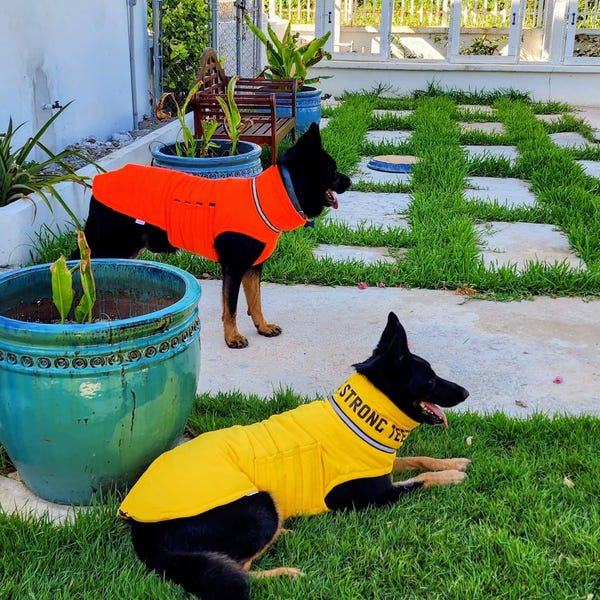 Comfortable Full Body Dog Suit, Overall for Dogs, Waterproof ...