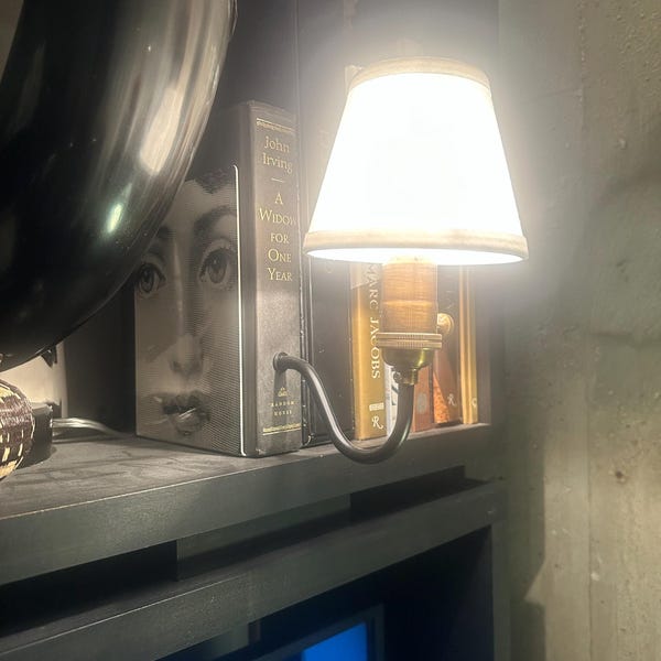 Bookshelf Lamp. Bookcase Light. Bookshelf Decor. Home Library/office ...