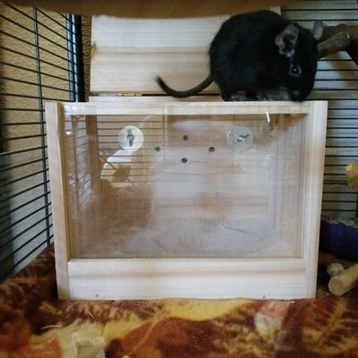 Stainless Steel Scatterless Litter Box With Guards Wood Hay Feeder Food ...