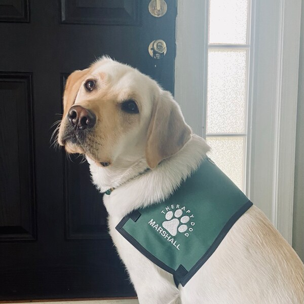 Emotional Support Cat Vest - Etsy