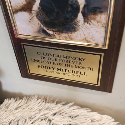 Kick Ass Trophy Custom Funny Office Award 7 Tall - Etsy