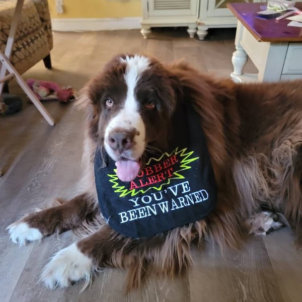 Big Dog Slobber Drool/slobber Bibs 2 Designs - Etsy