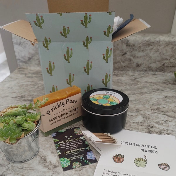 Get Well Gift Box Healing Vibes Succulent Gift Box Set, Send a Gift ...