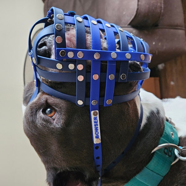 Removable Forehead Strap Option: Custom Made Biothane Dog Muzzle ...