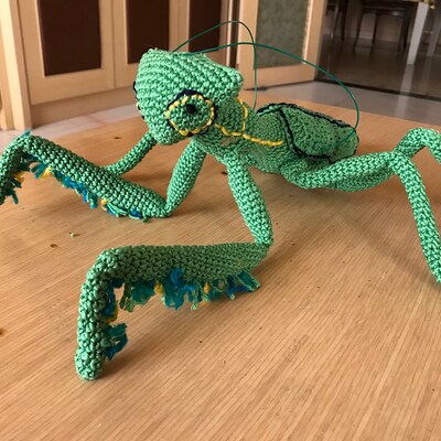 Praying Mantis Crochet Pattern - Etsy