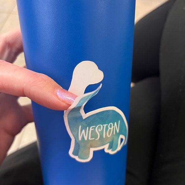 Personalized Custom Water Resistant Holographic Retro Girls Name Label ...