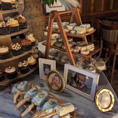 Safari Cakesicles Jungle Cake Pops Giraffe Elephant Lion Cheetah Baby ...