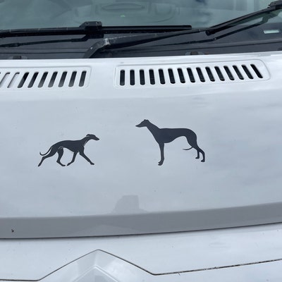 Dog Congratulations Card, Well Done Congratulations Card - Etsy