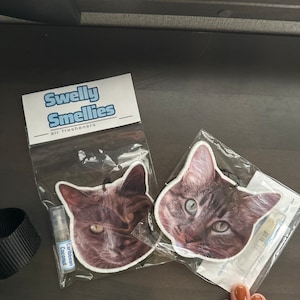 Funny Air Freshener Flaming Eye Freshener Cute Air - Etsy