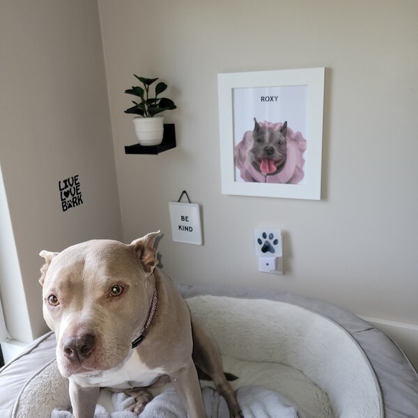 Live Love Bark Vinyl | Dog Vinyl Decal | Car Vinyl | Pet Sticker | Paw ...