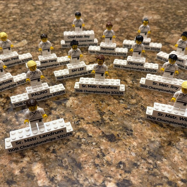 Personalised Engraved LEGO® Brick & Minifigure Karate Judo Martial Arts ...