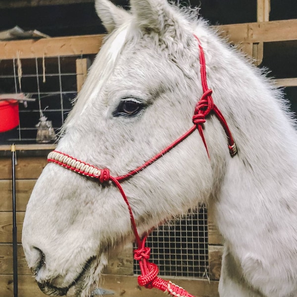 Custom Rope Halter With Matching 10' Lead Rope - Etsy