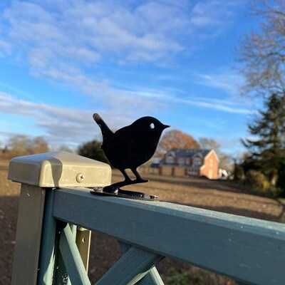 Metal Robin in a Disc Door Hanger Metal Garden Art Made in Wales Metal ...