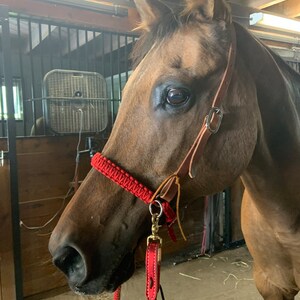 Bit Hobble Curb Strap Chinstrap Horse Tack Paracord Horse - Etsy