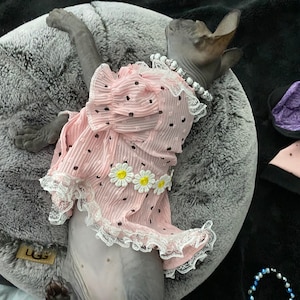 Customize DIY Sphinx CAD Pattern Making Handmade Make Your | Etsy