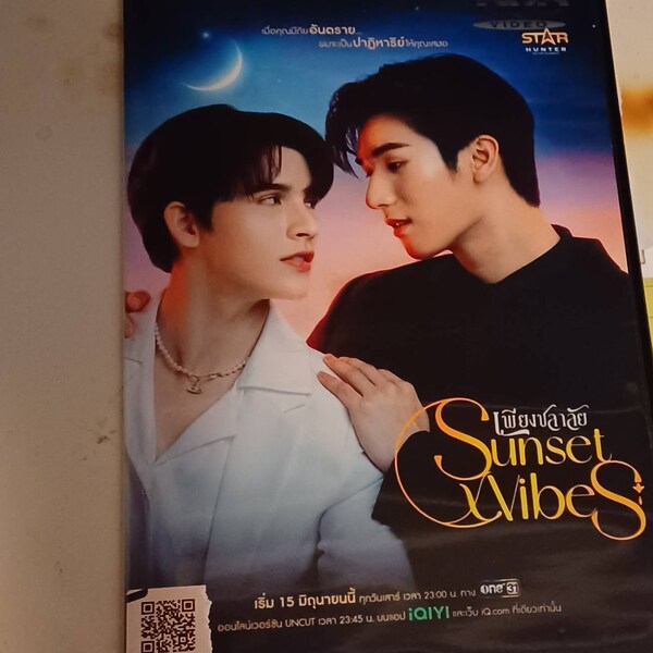 Falling Into Your Smile Cdrama KDRAMA Kpop Serie Oppas - Etsy