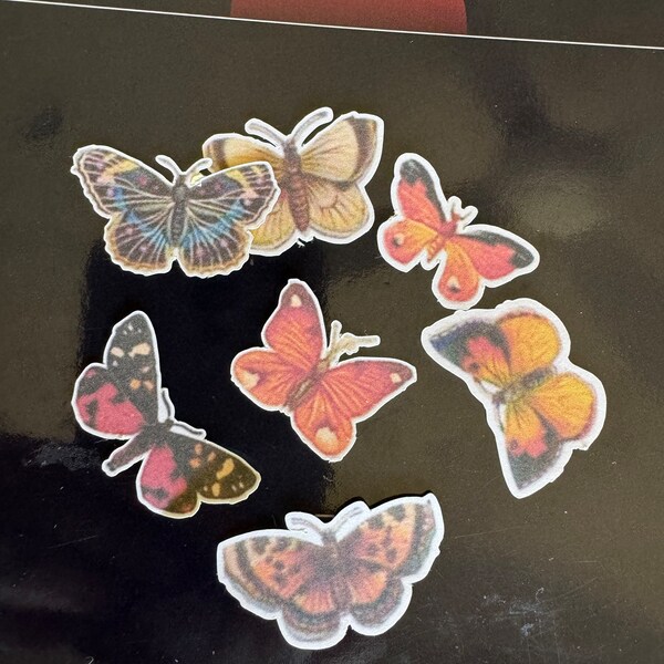 Sepia Flower Meanings & Poetry Die Cut Stickers - Etsy Australia