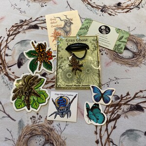 Velvet Spider Sticker 3.5 Inch Glossy Sticker Ladybird - Etsy