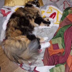 Custom Car Rug Any Make Any Model Personalised Car Gift BMW M3 Carpet ...