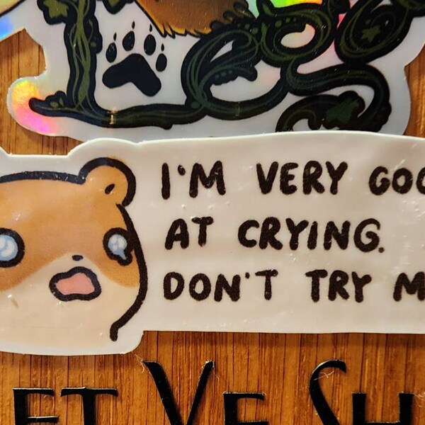 Please Slow Down Shooting Star Funny Sticker Possum Sticker Gifts Under ...