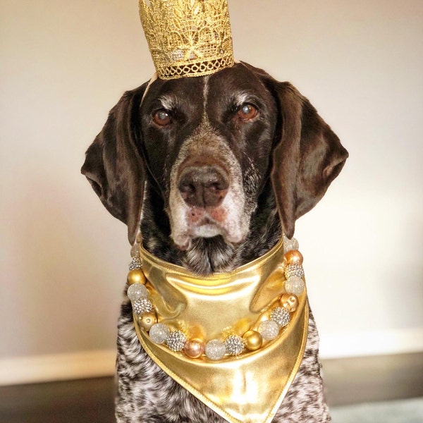 Pet Birthday Crown Gold Lace Crown for Dogs and Cats Lola Pet Crown ...