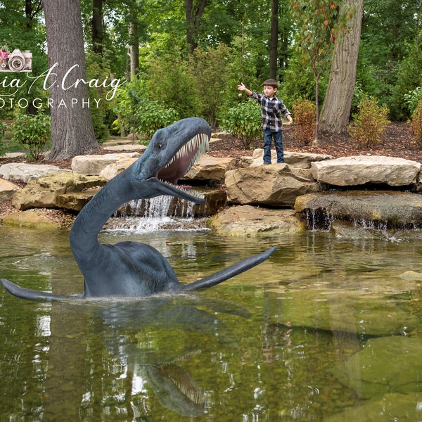 Crowns King Crown Overlay Photoshop Overlays for Photographers ...