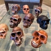 Homo Naledi Skull Replica of DH1 Find, Prehistoric Fossil Collection ...