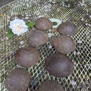 Eco Friendly Coconut Coir Fiber Rope, Natural Coconut Fiber Rope ...