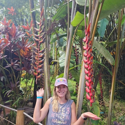 Volcano Ball Cap, Big Island Hawaii by Hopper's Art Mauna Loa, Mauna ...